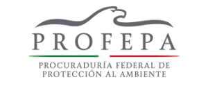 PROFASI | Profesionalismo Ambiental y Servicios Industriales